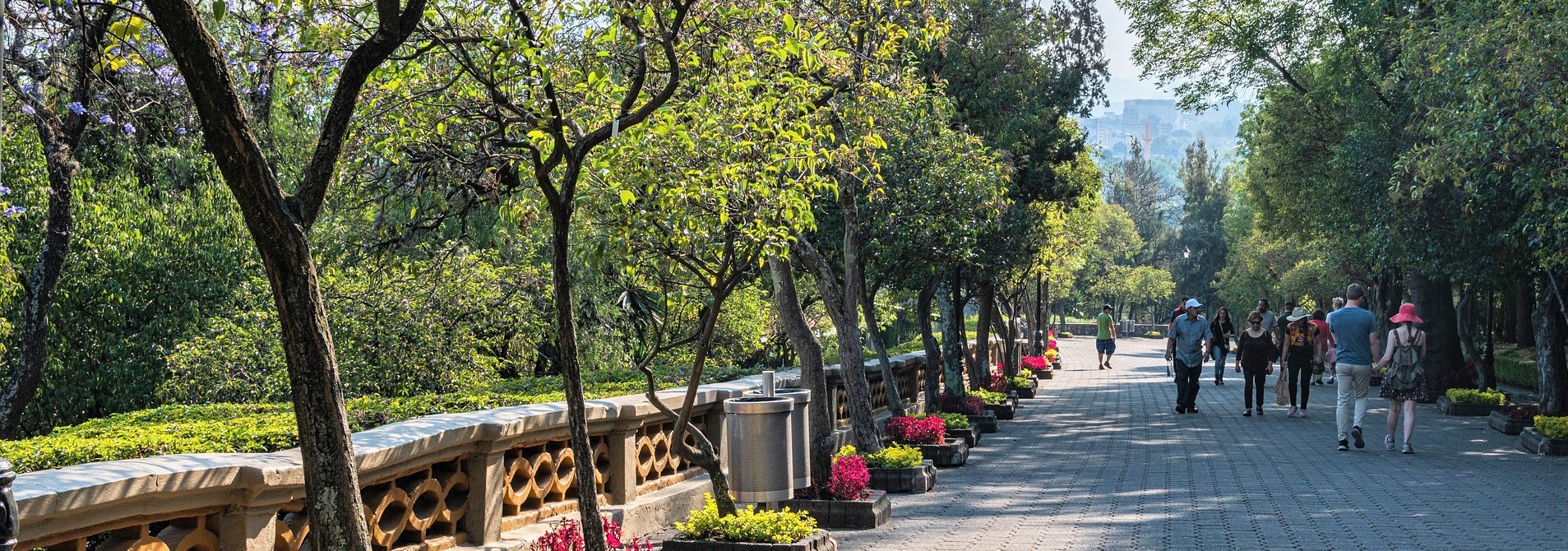 Le Parc de Chapultepec : Bouffée d’air frais au coeur de Mexico City ...